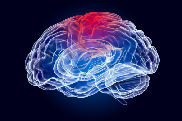 The Parietal Lobe - Neuropraxis – Brain and Spinal Cord Injury ...