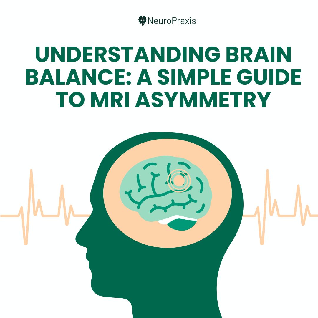 Understanding Brain Balance: A Simple Guide to MRI Asymmetry ...
